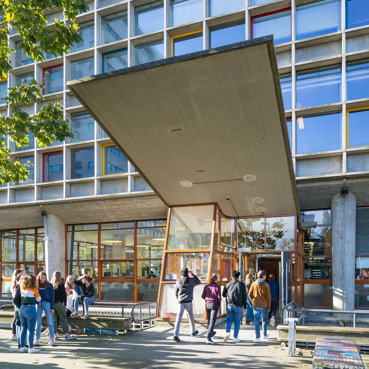 cygnus - Galerie | Atelier | Studio